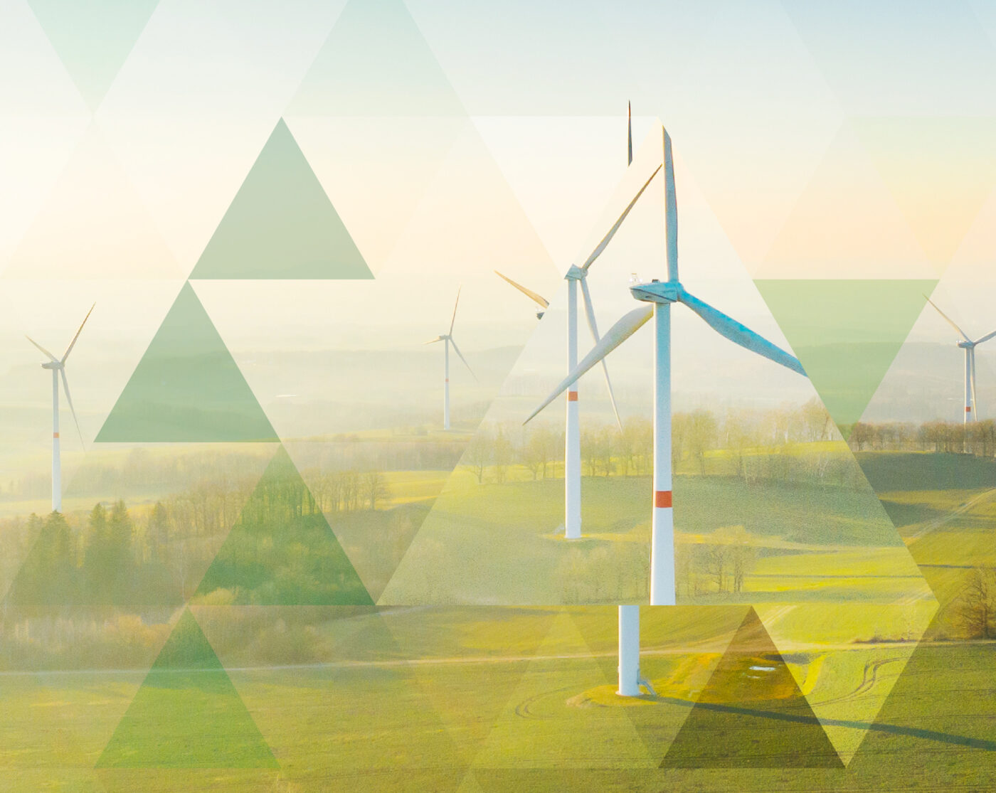 Ethical Managed Accounts | Betashares