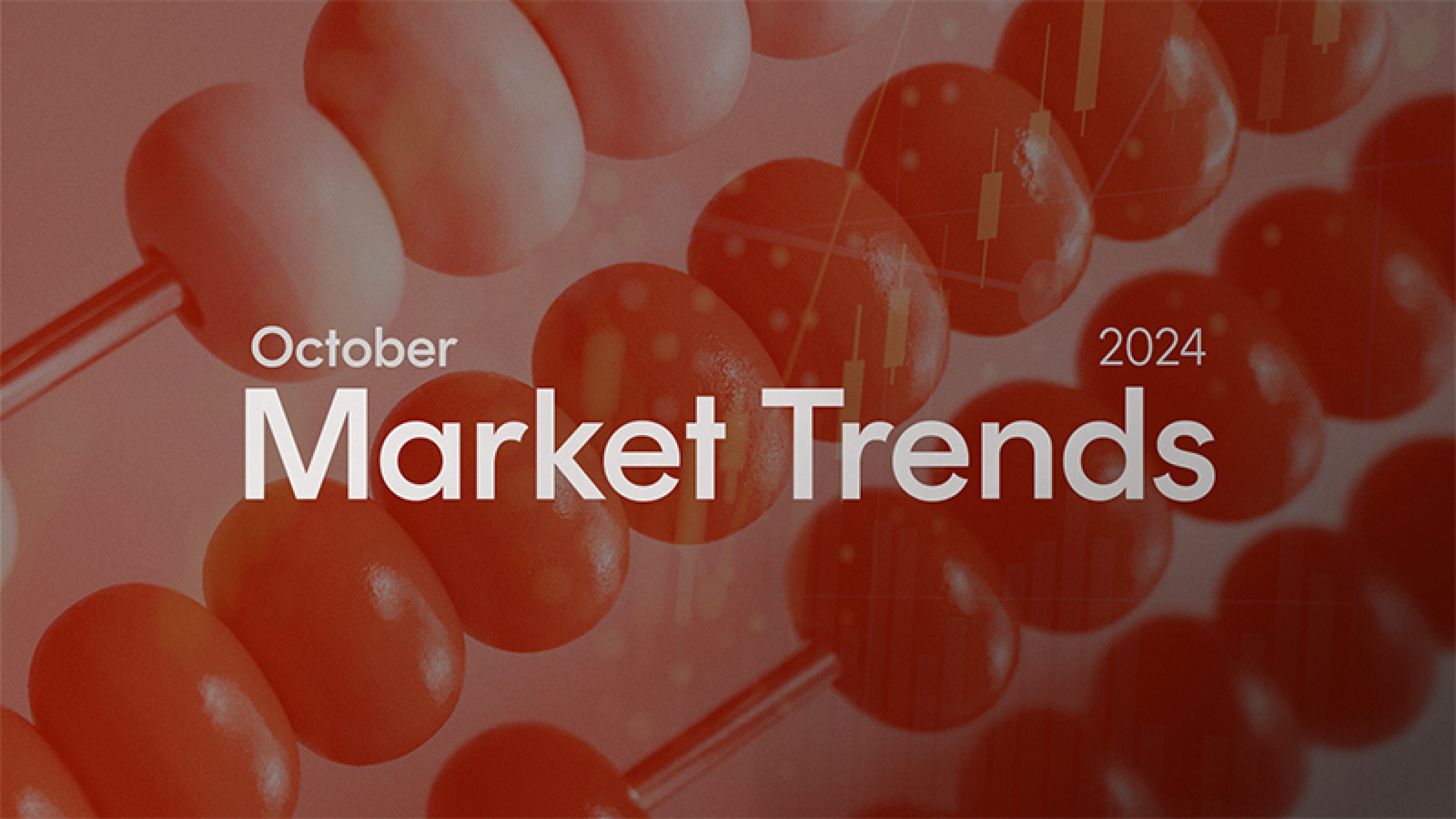 Market Trends: October 2024 | Betashares